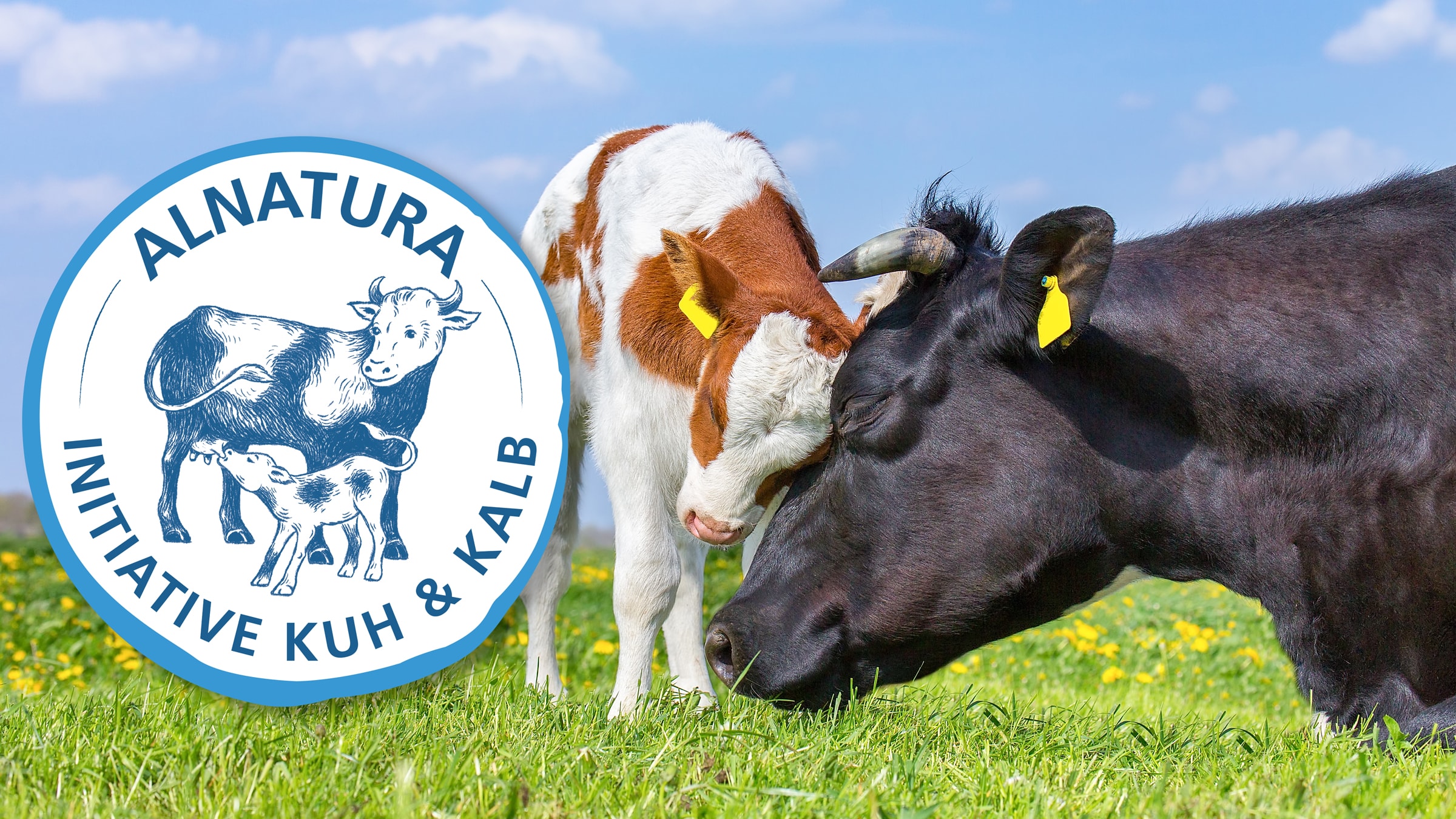 Alnatura Initiative Kuh & Kalb