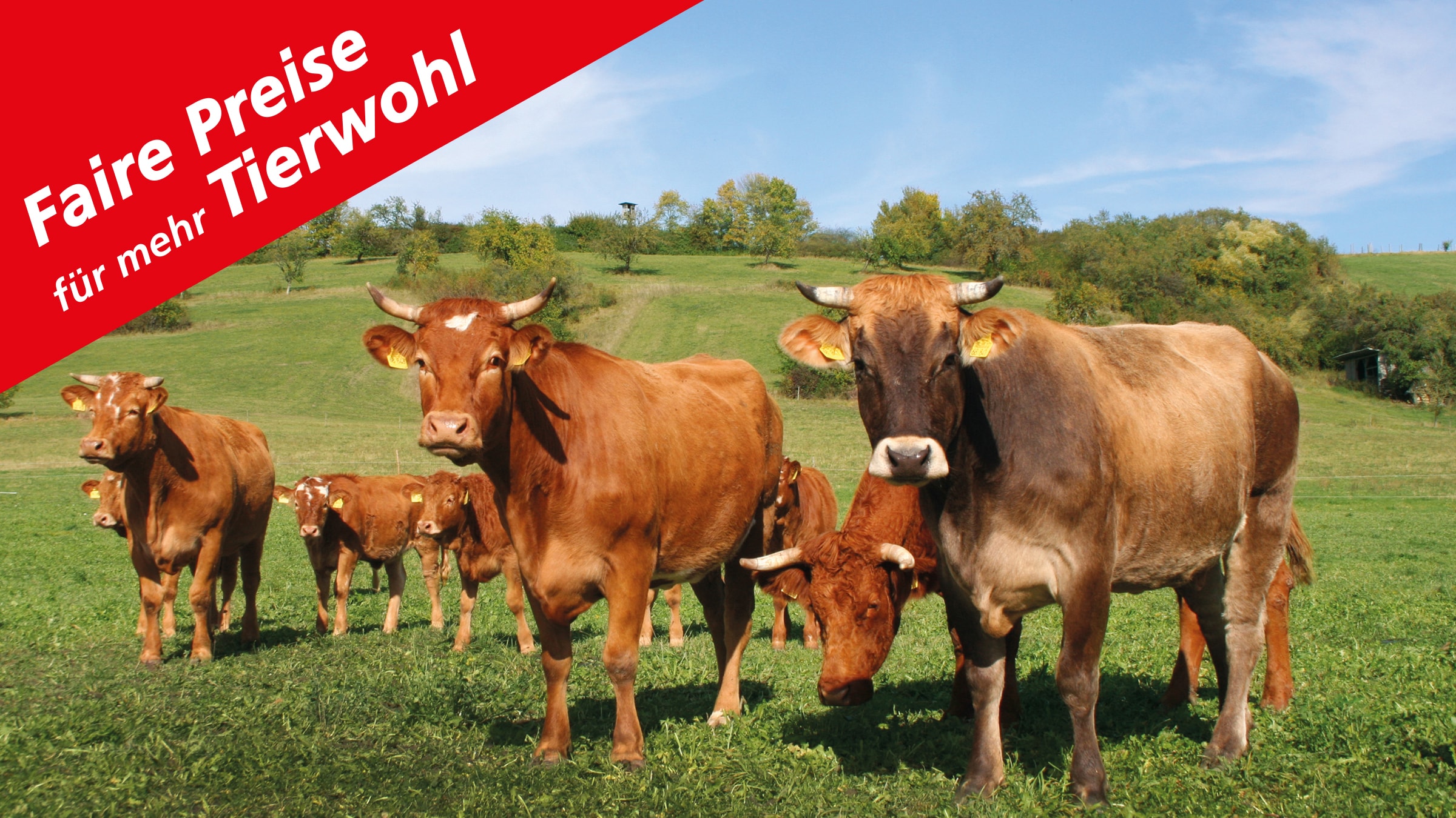 Initiative "Faire Preise für mehr Tierwohl" – Alnatura